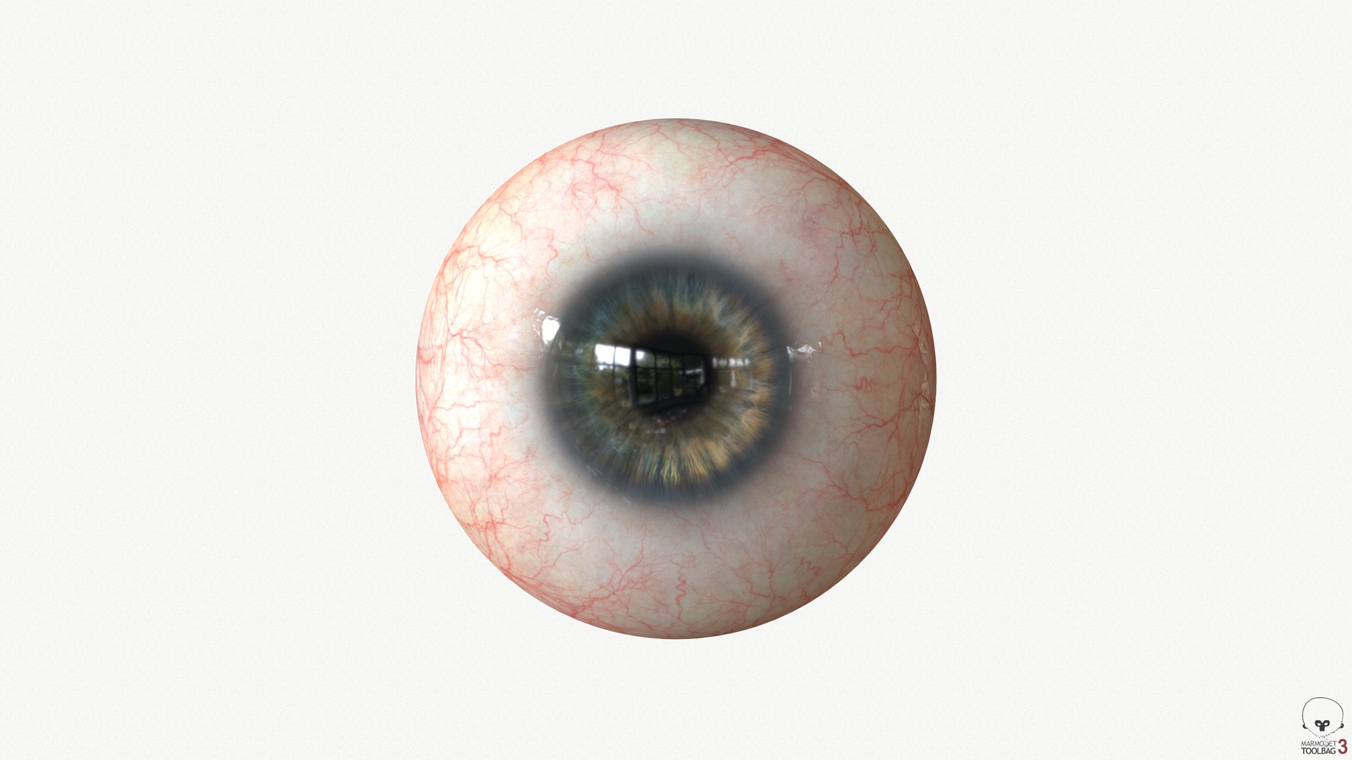 3D Model Eye Gray 1 Real-time 4k Texture Marmoset Toolbag3 Maya FBX OBJ ...