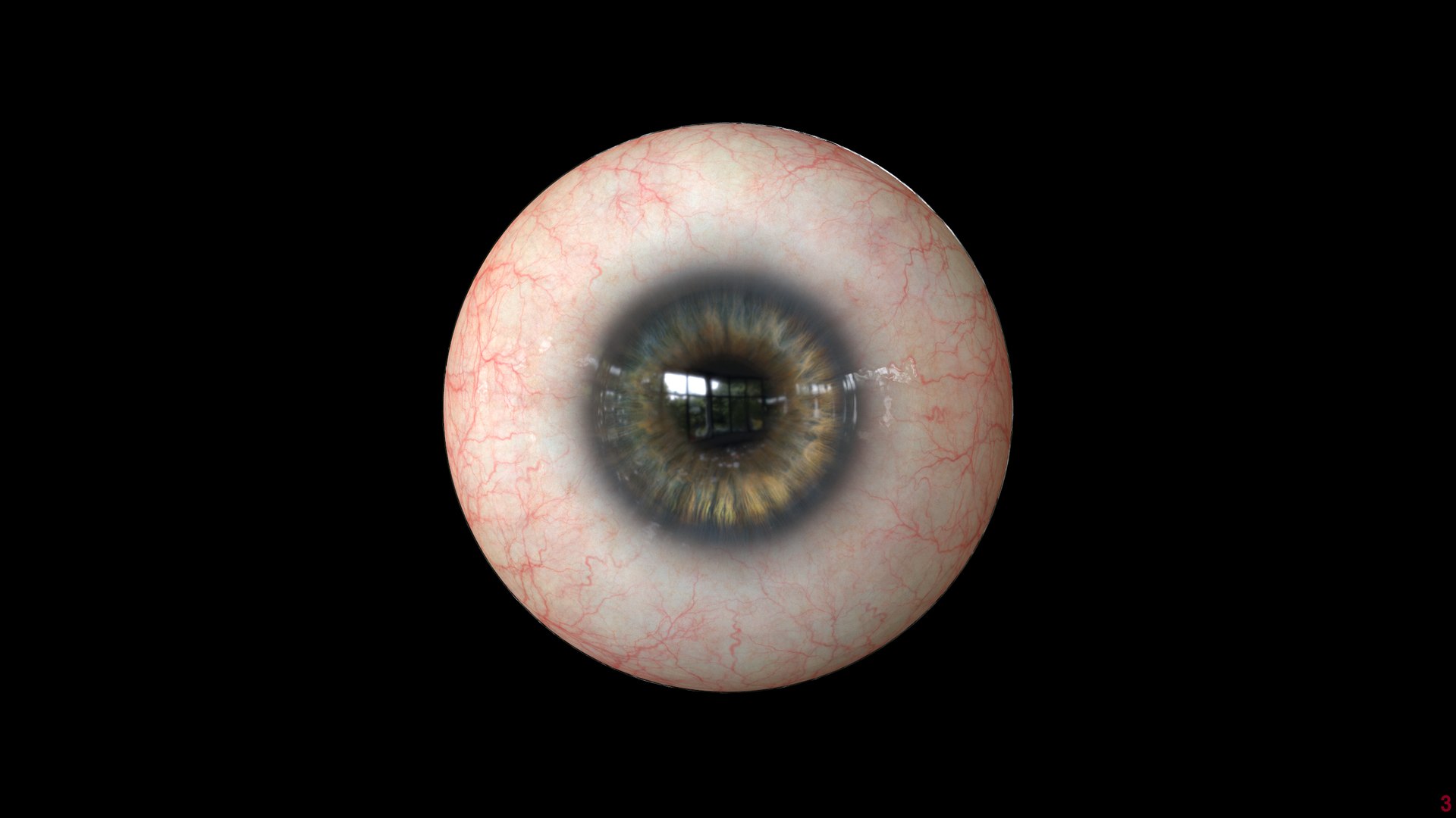 3D model Eye Gray 1 Real-time 4k texture Marmoset Toolbag3 Maya FBX OBJ ...