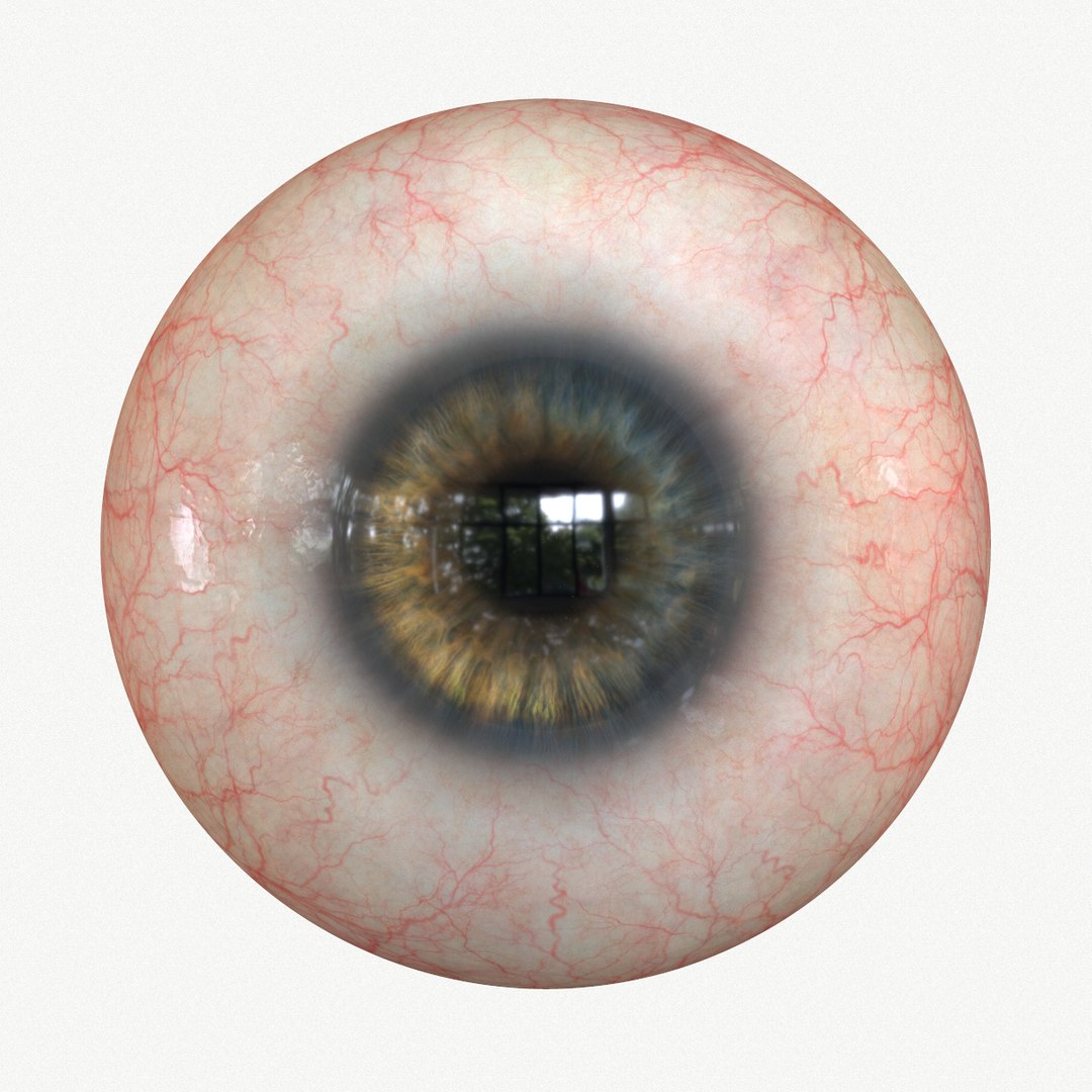 3D model Eye Gray 1 Real-time 4k texture Marmoset Toolbag3 Maya FBX OBJ ...