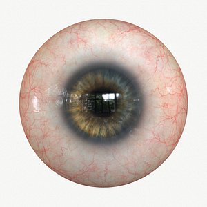 human eye 3d texture