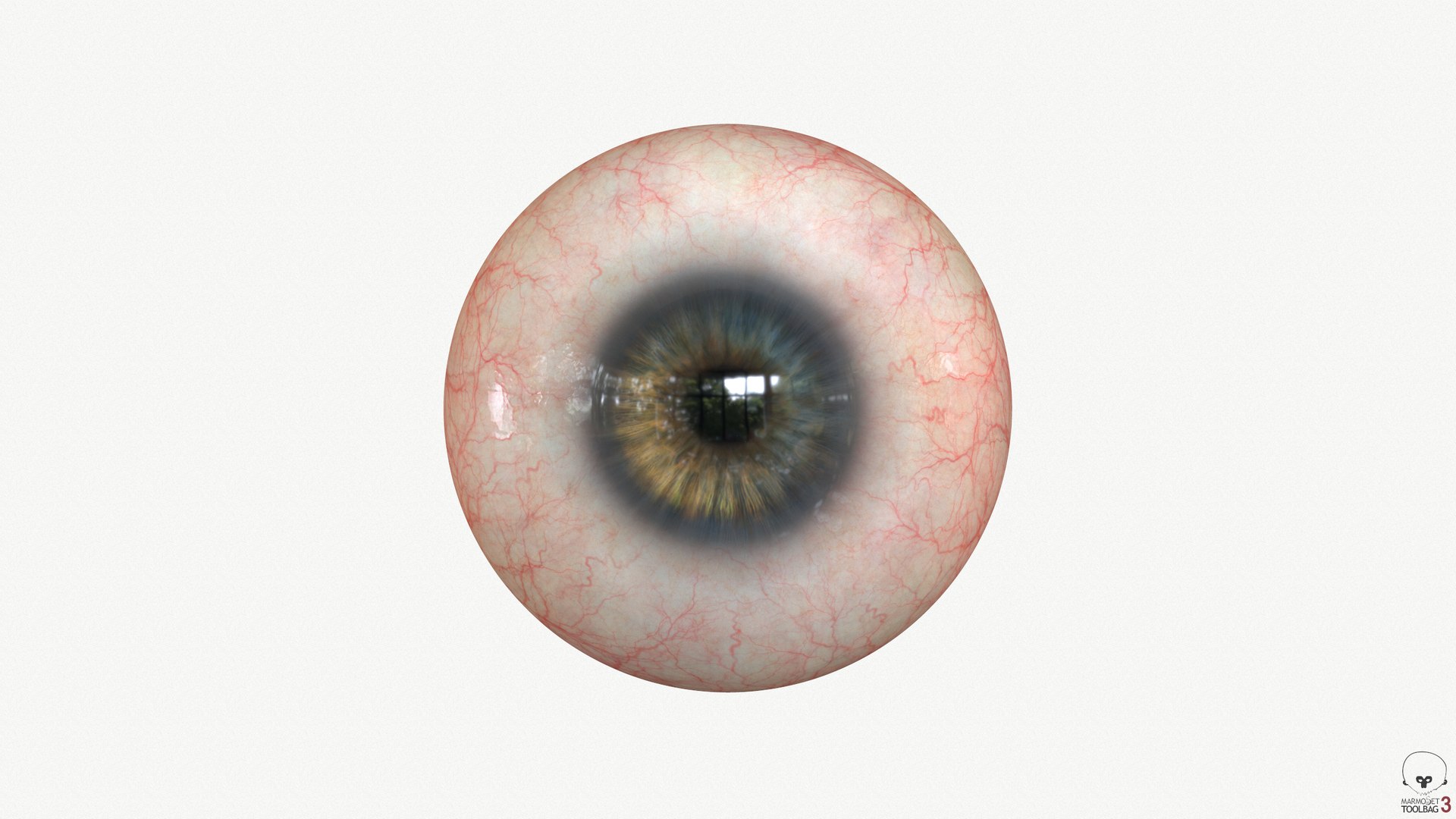 3D Model Eye Gray 1 Real-time 4k Texture Marmoset Toolbag3 Maya FBX OBJ ...