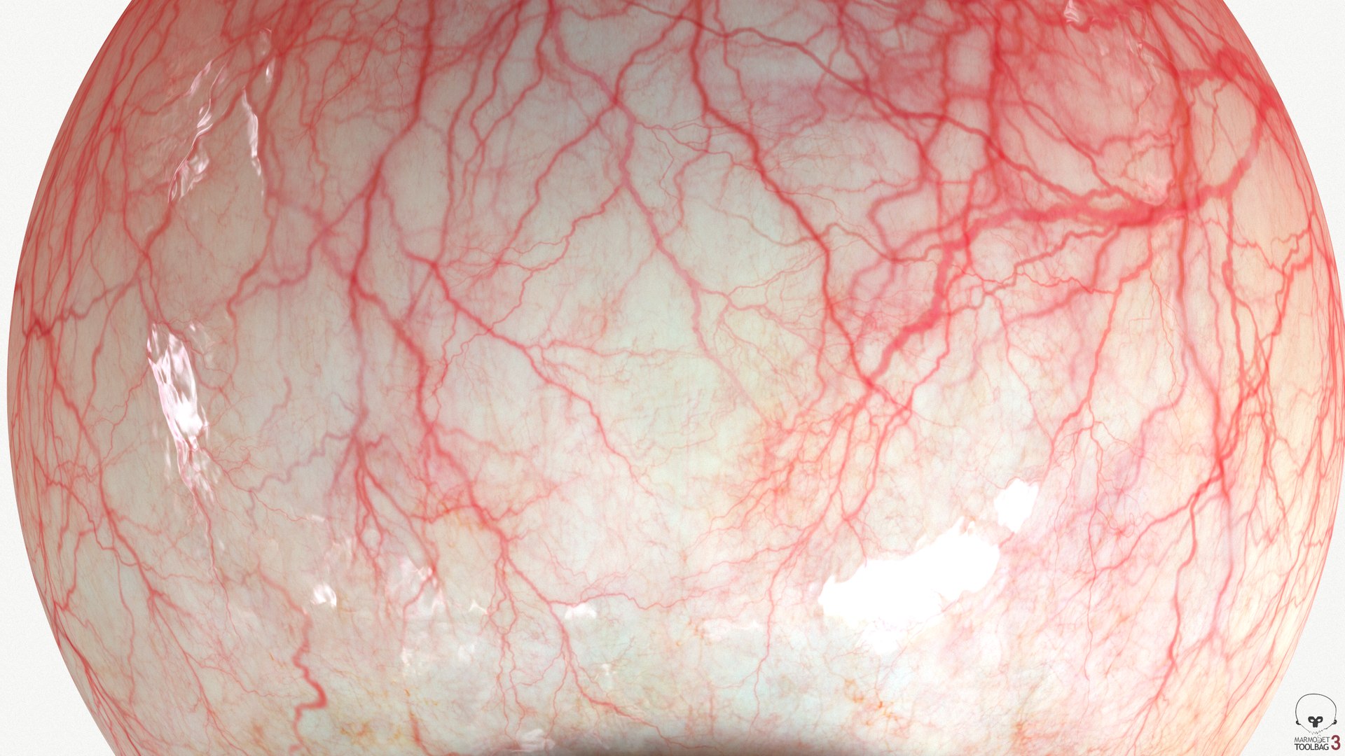 3D Model Eye Gray 1 Real-time 4k Texture Marmoset Toolbag3 Maya FBX OBJ ...