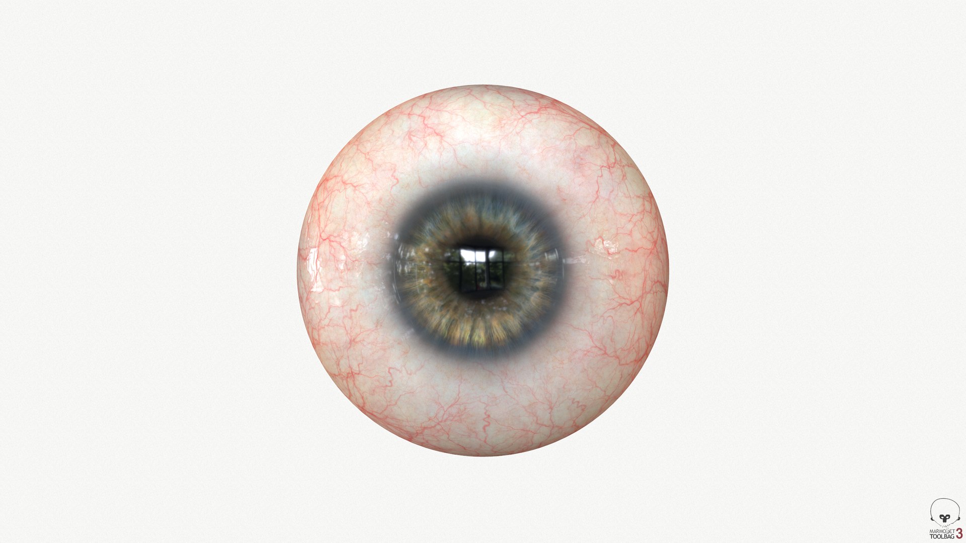 3D Model Eye Gray 1 Real-time 4k Texture Marmoset Toolbag3 Maya FBX OBJ ...