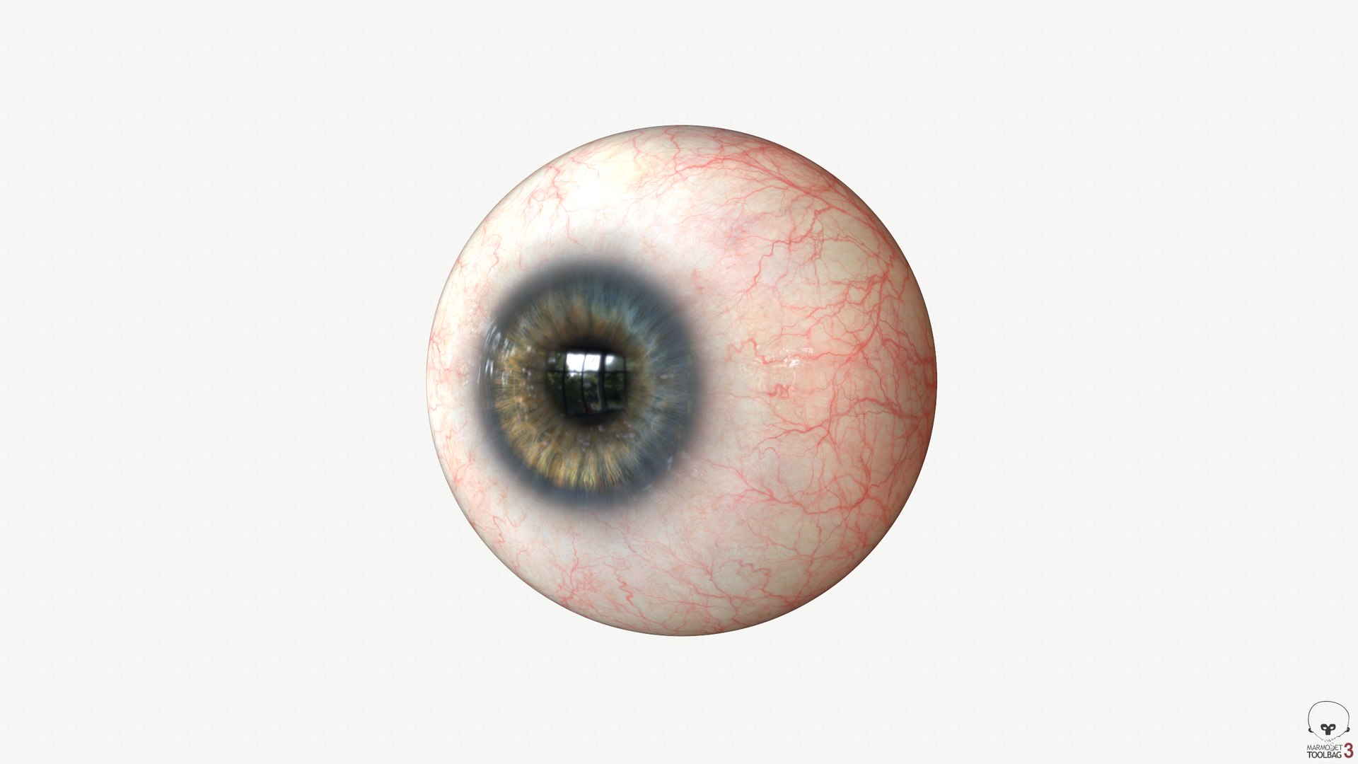 3D Model Eye Gray 1 Real-time 4k Texture Marmoset Toolbag3 Maya FBX OBJ ...