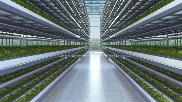 Hydroponics Vertical Farm 06 3D 모델 - TurboSquid 1883485