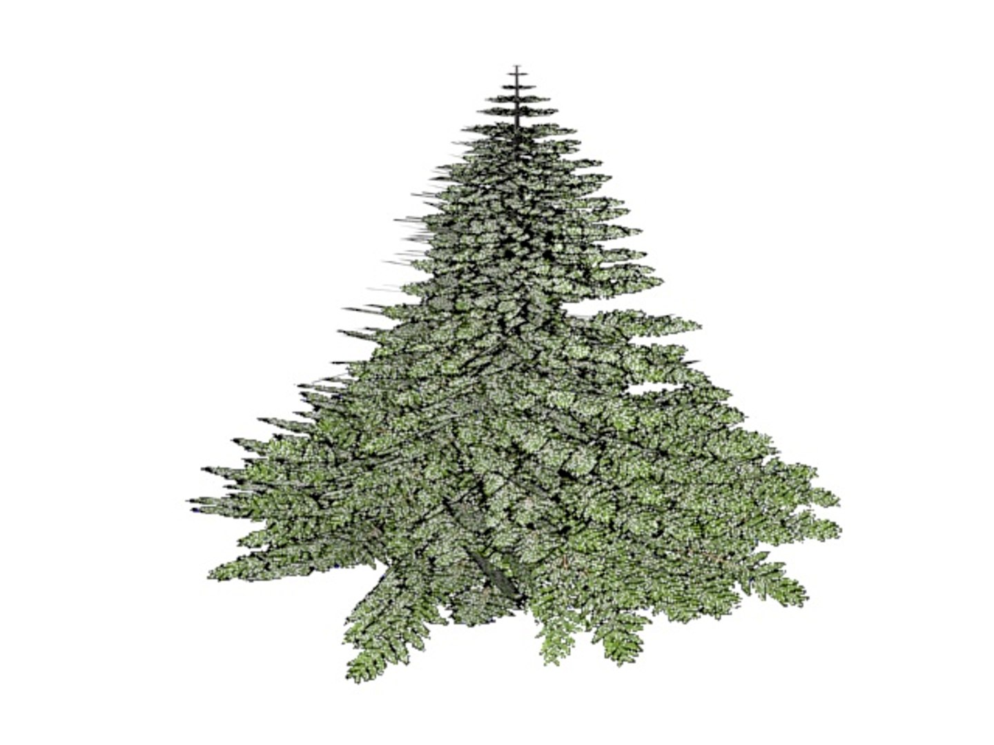 3d Model Red Cedar Tree X-mas