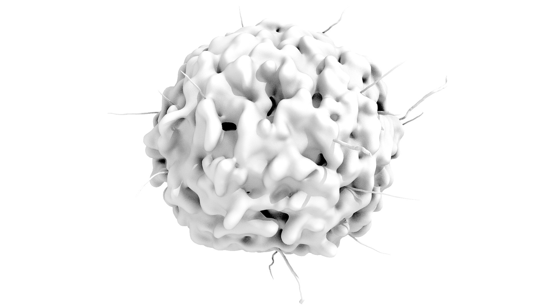 Basophil White Cell Model - TurboSquid 2344870