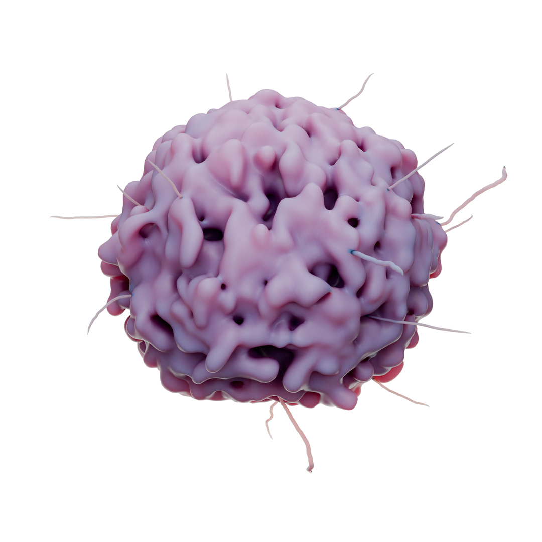 Basophil White Cell Model - TurboSquid 2344870