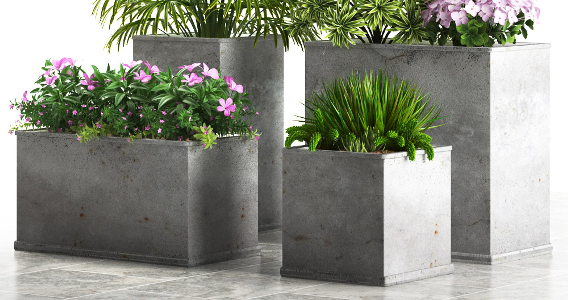 cement planter box plants 3d model