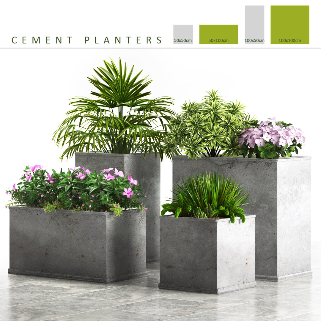 cement planter box plants 3d model