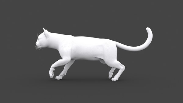 3D CAT-006 Walks in place - TurboSquid 1839593