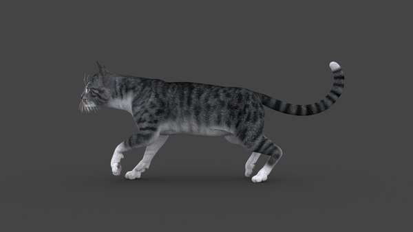 3D CAT-006 Walks in place - TurboSquid 1839593
