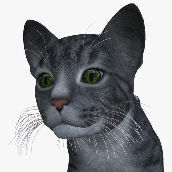 3D CAT-006 Walks in place - TurboSquid 1839593