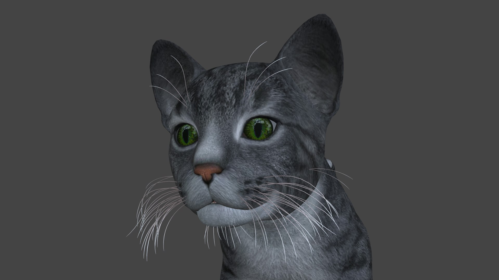 3D CAT-006 Walks in place - TurboSquid 1839593