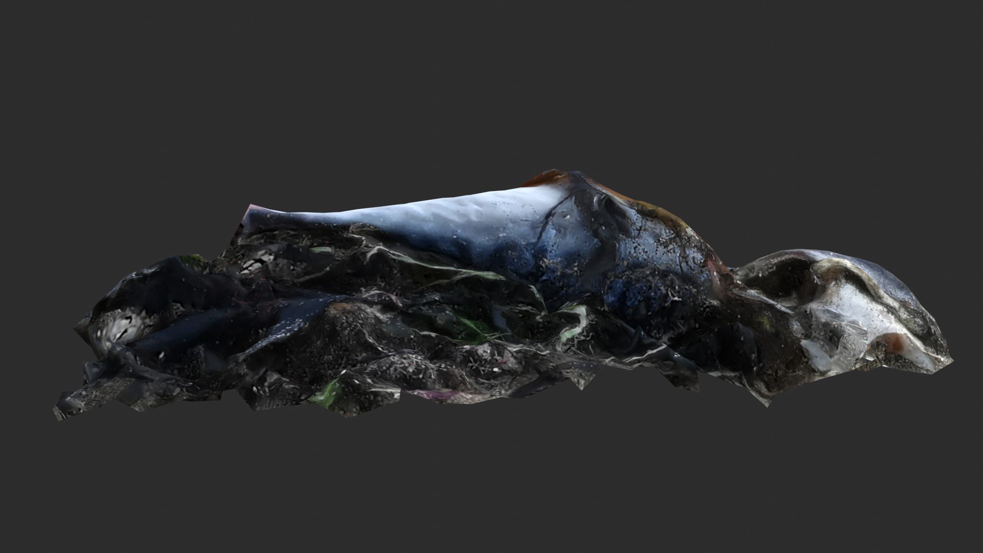 Dead Fish 3D Model - TurboSquid 1786412