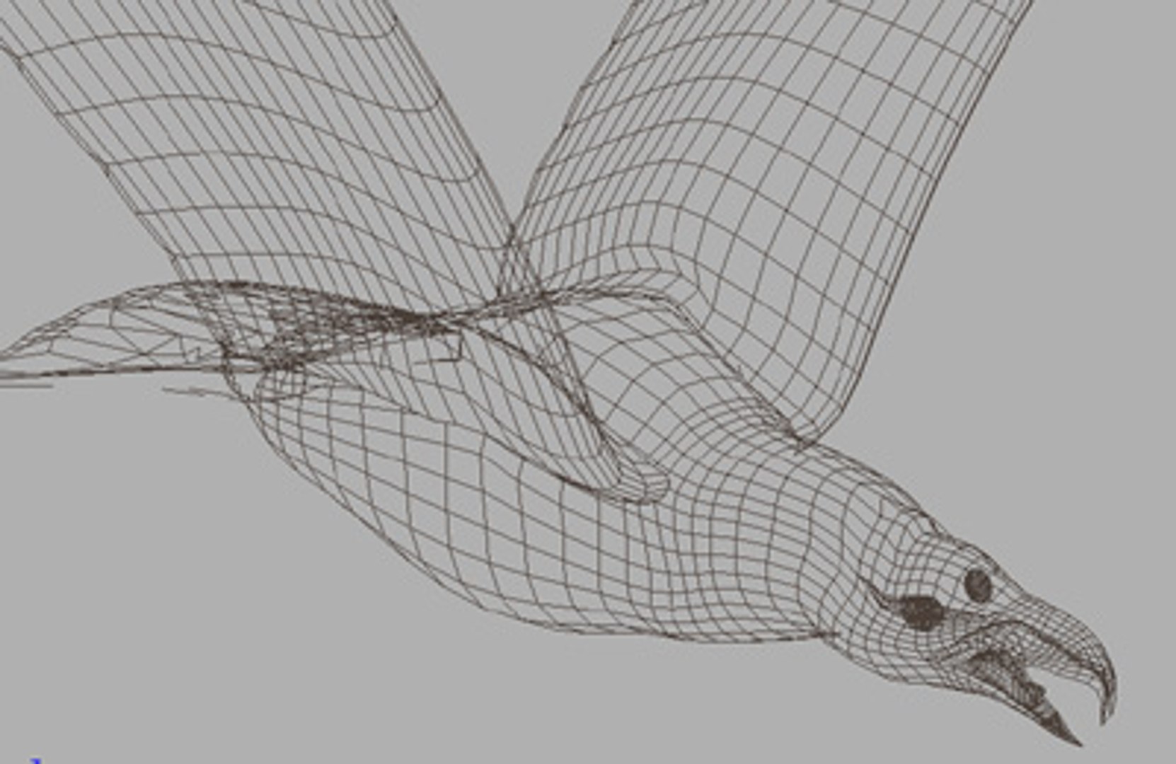 3d American Bald Eagle Morph