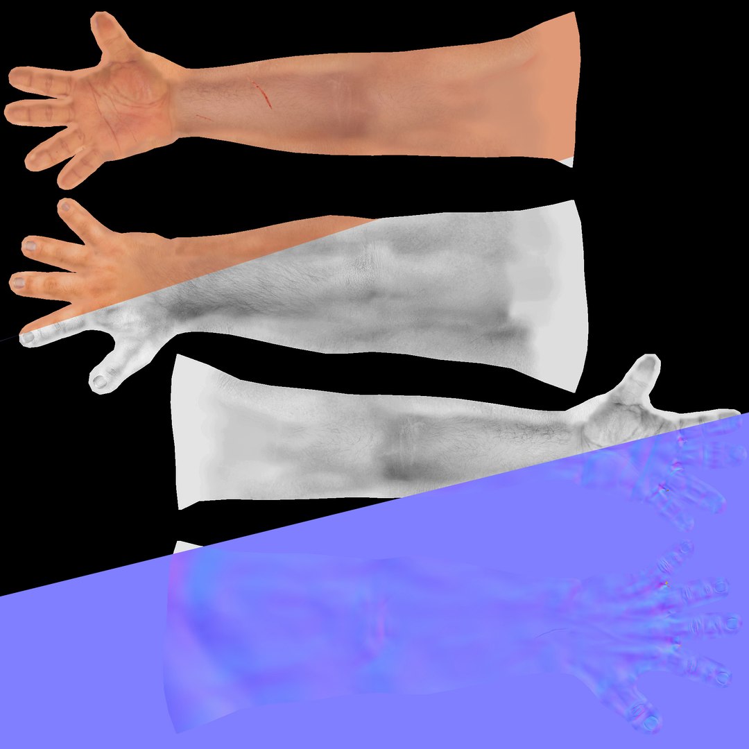 Free Hands Model - TurboSquid 1230153