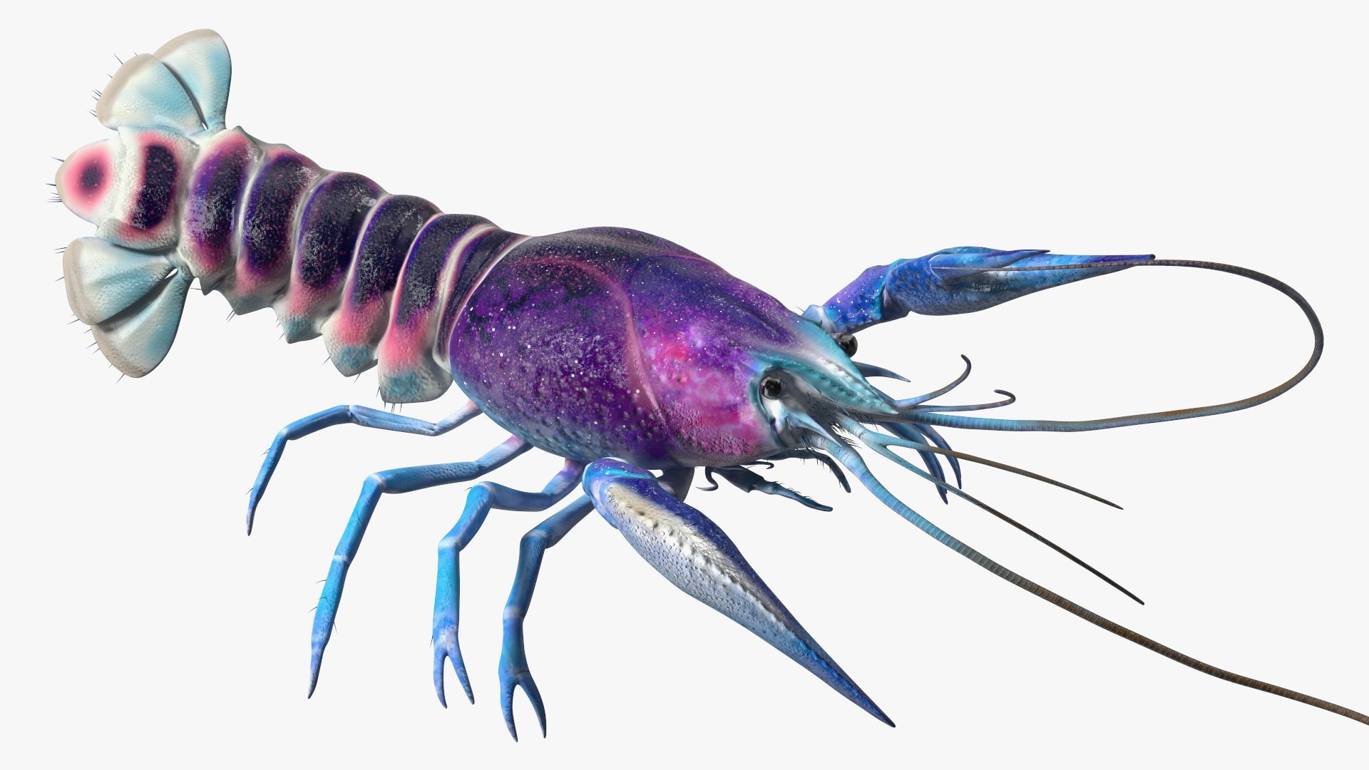 Blue Crayfish Rigged 3D Model - TurboSquid 2163579