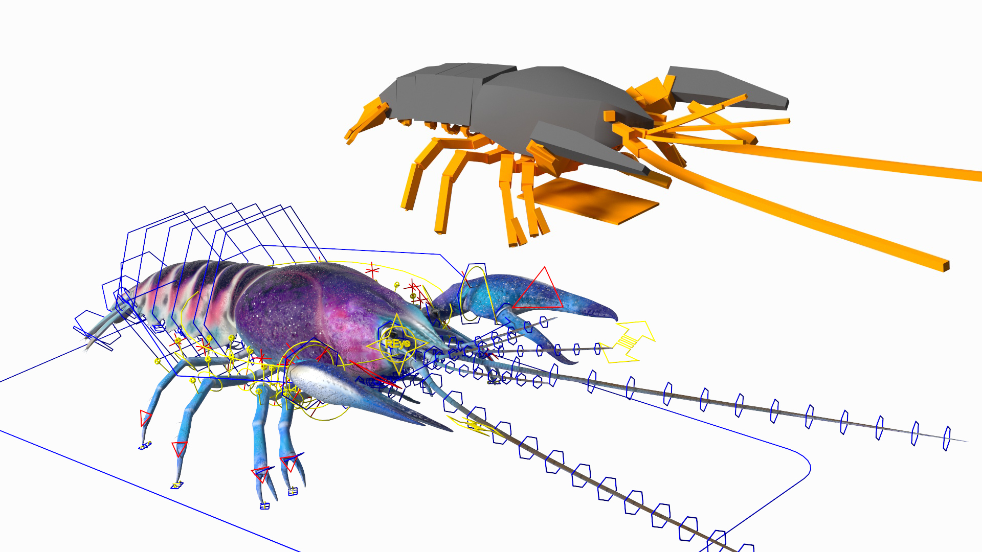 Blue Crayfish Rigged 3D Model - TurboSquid 2163579