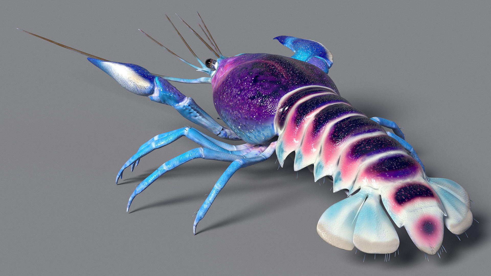 Blue Crayfish Rigged 3D Model - TurboSquid 2163579