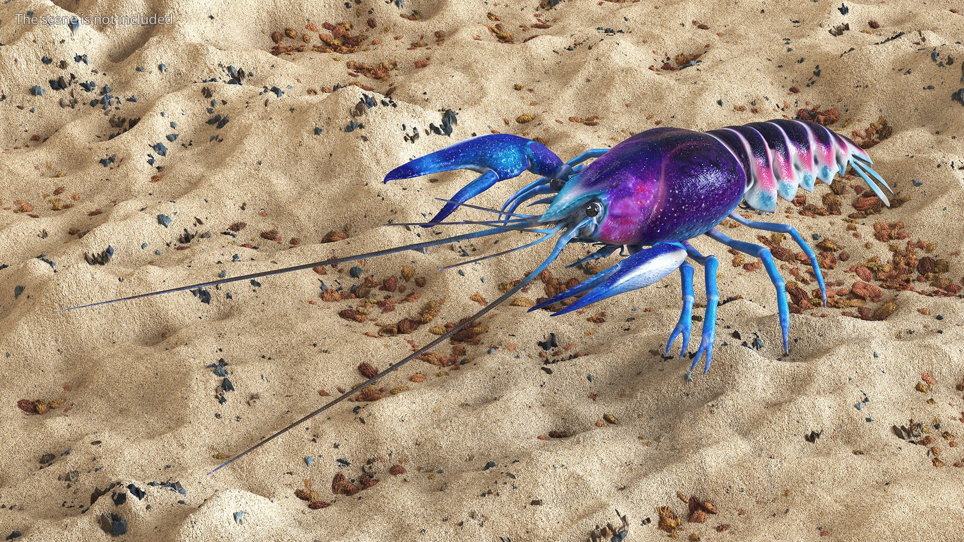 Blue Crayfish Rigged 3D Model - TurboSquid 2163579