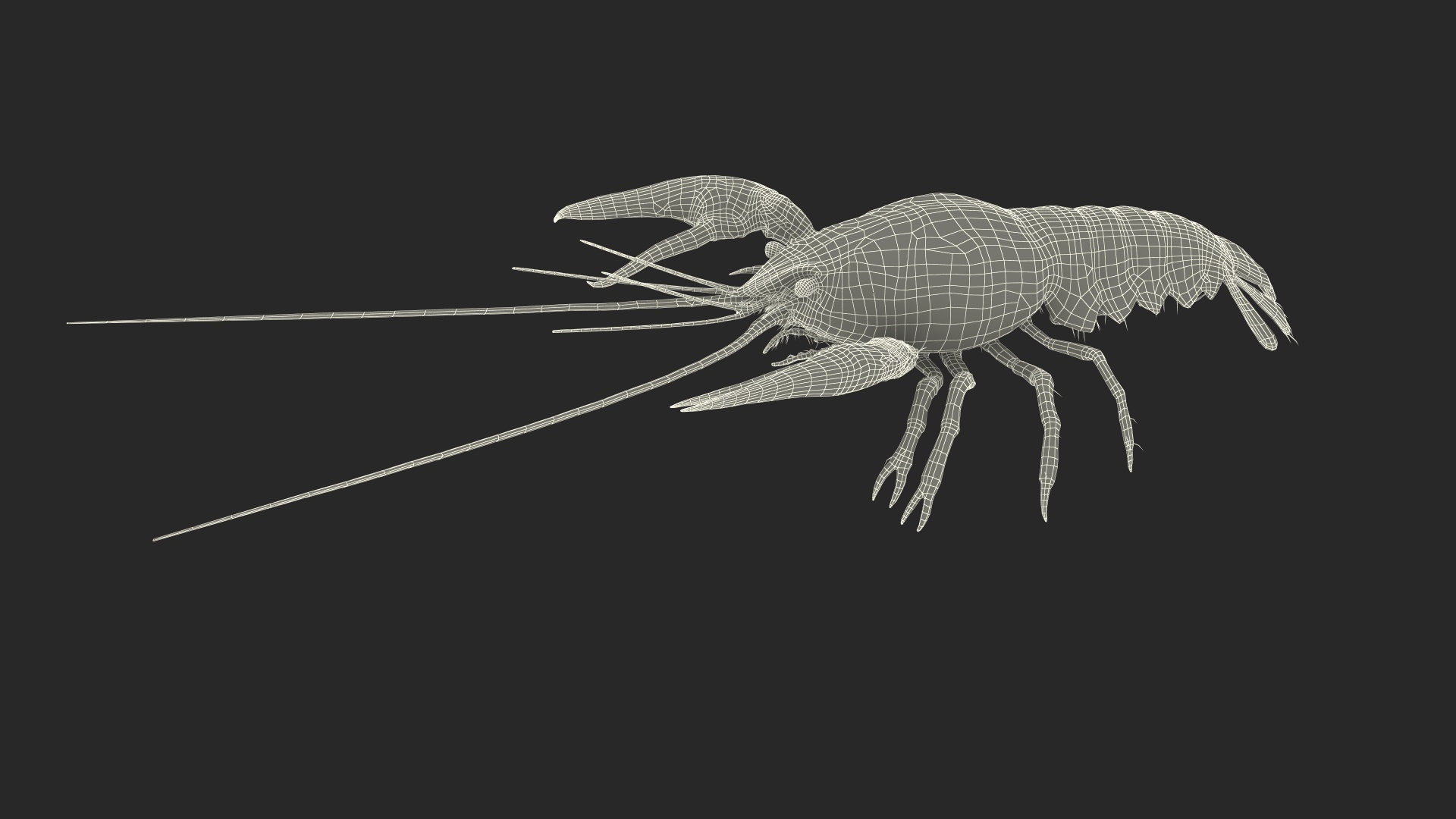 Blue Crayfish Rigged 3D Model - TurboSquid 2163579