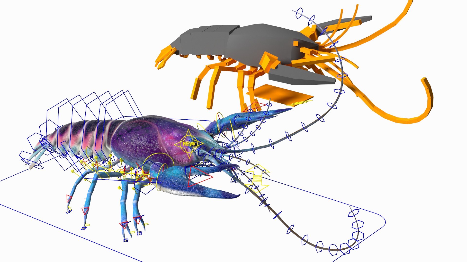 Blue Crayfish Rigged 3D Model - TurboSquid 2163579