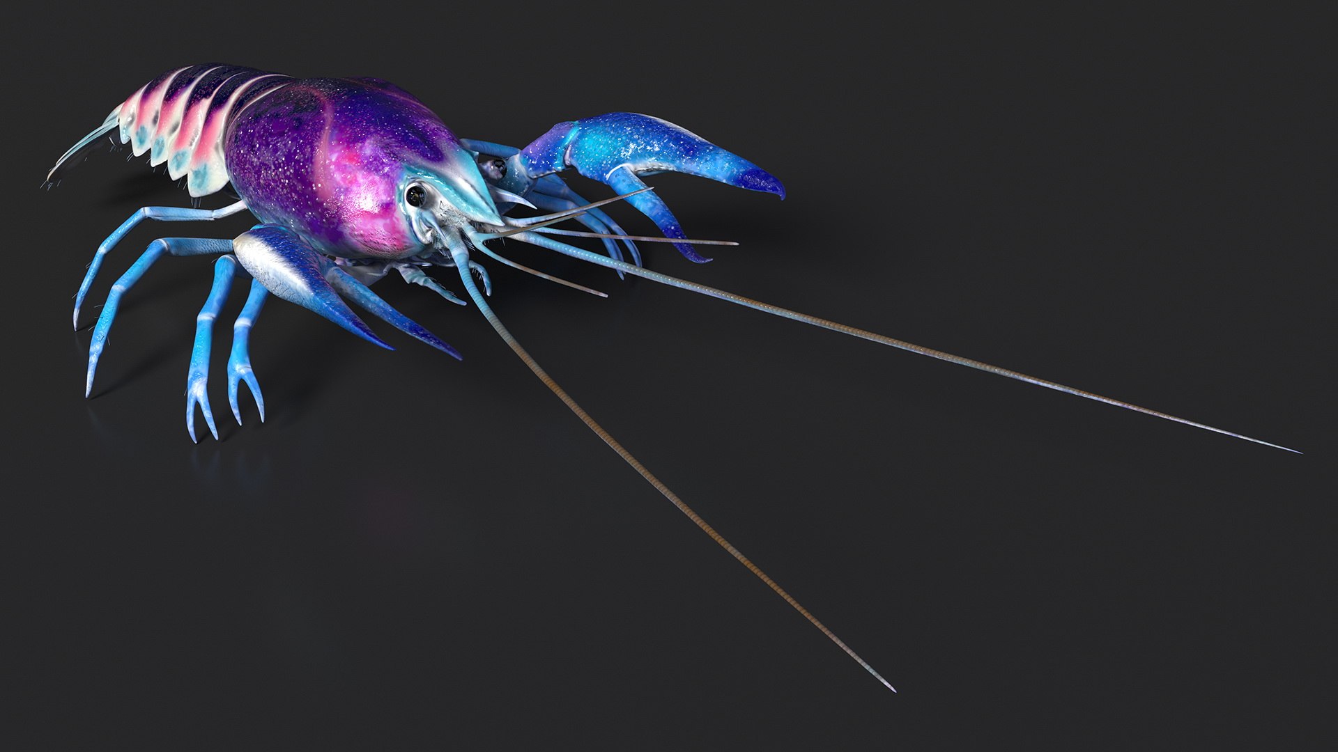 Blue Crayfish Rigged 3D Model - TurboSquid 2163579