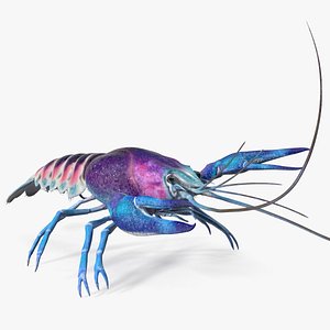 Crayfish 3D Models for Download | TurboSquid
