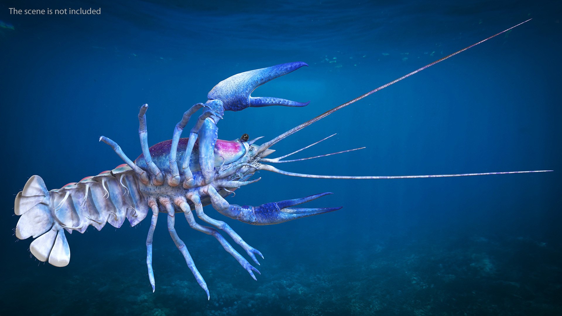 Blue Crayfish Rigged 3D Model - TurboSquid 2163579