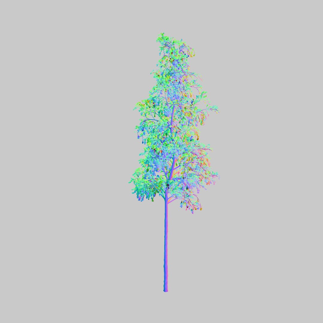 Aspen Tree 3D Model - TurboSquid 1582069