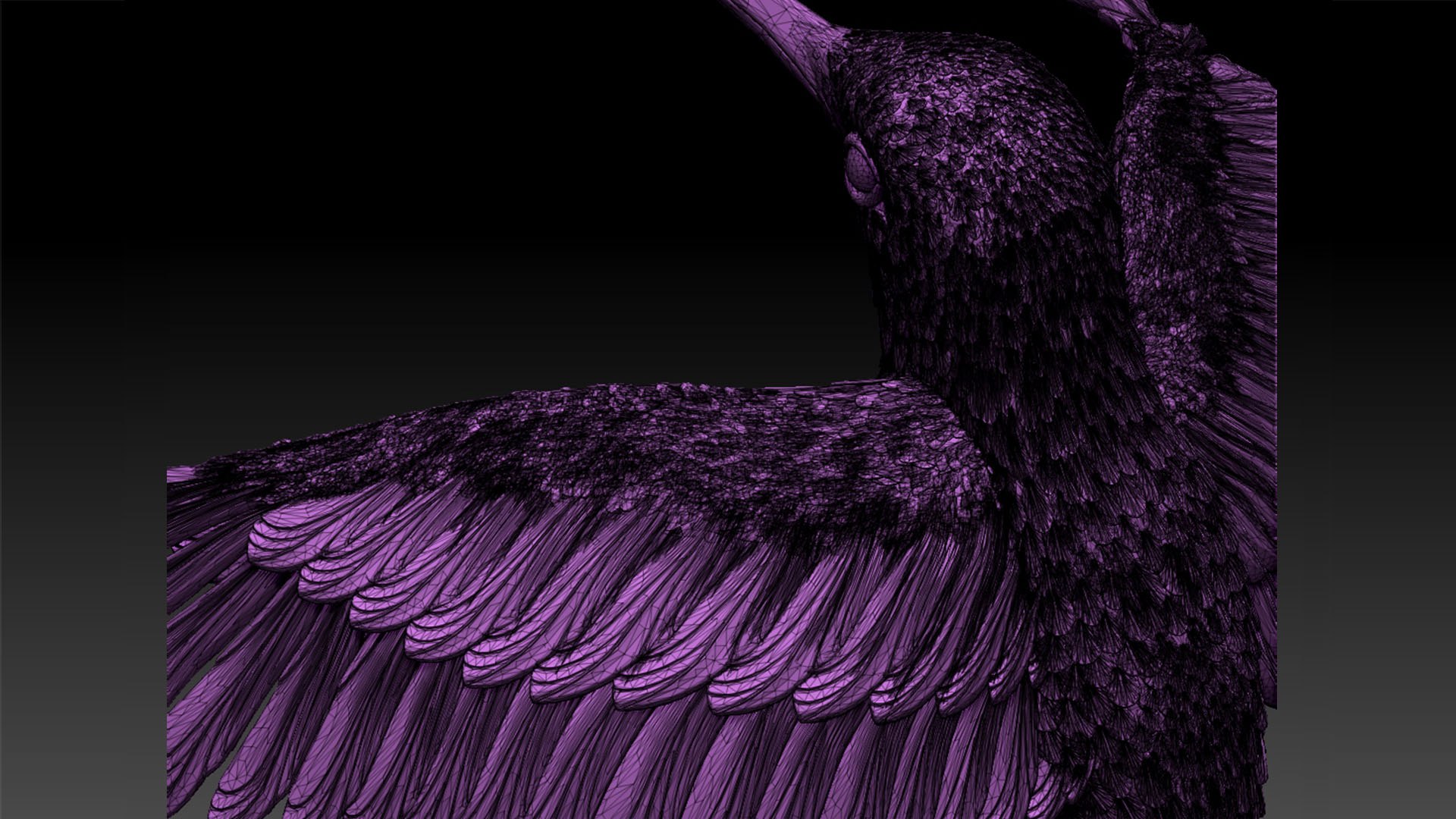 Colibri Hummingbird 3D Model - TurboSquid 1957578