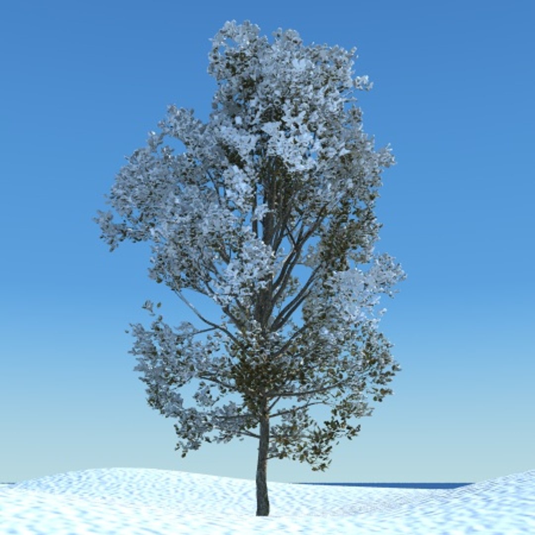 3d Model Snow Tree