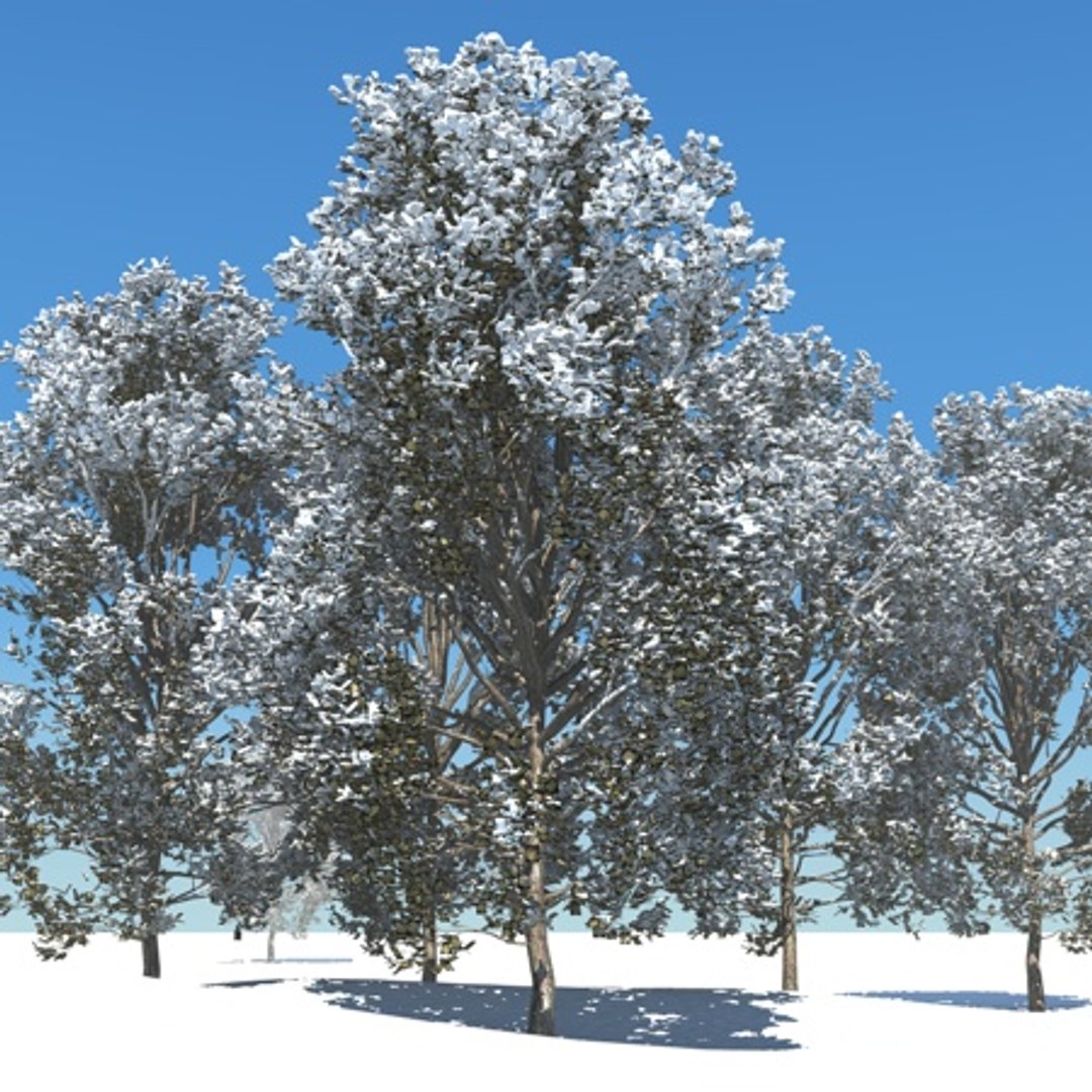 3d Model Snow Tree