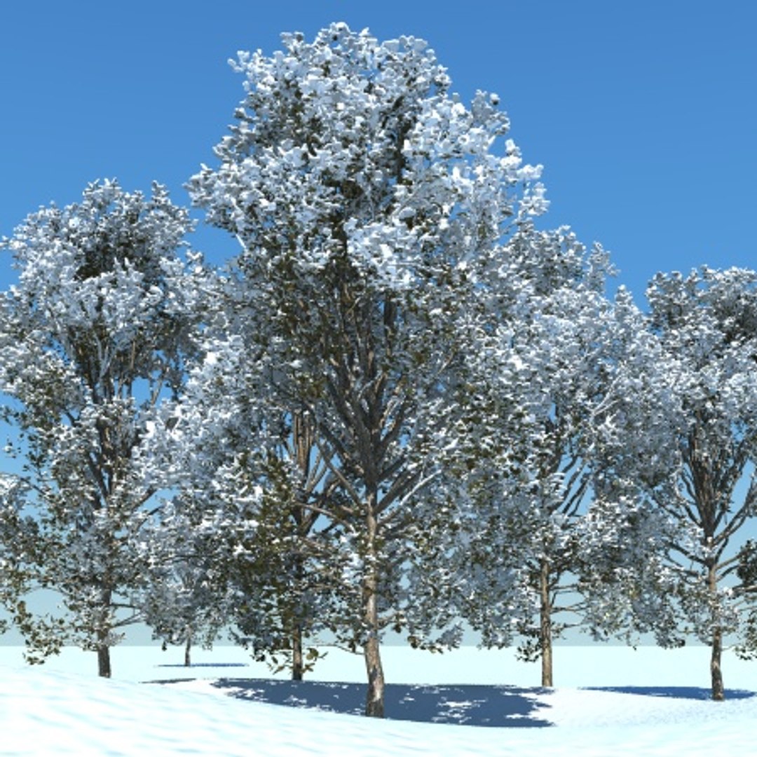 3d Model Snow Tree