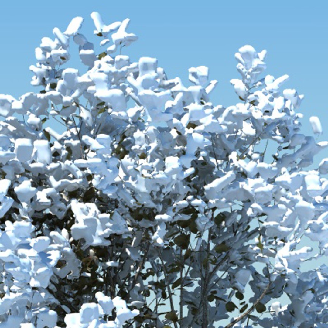 3d Model Snow Tree