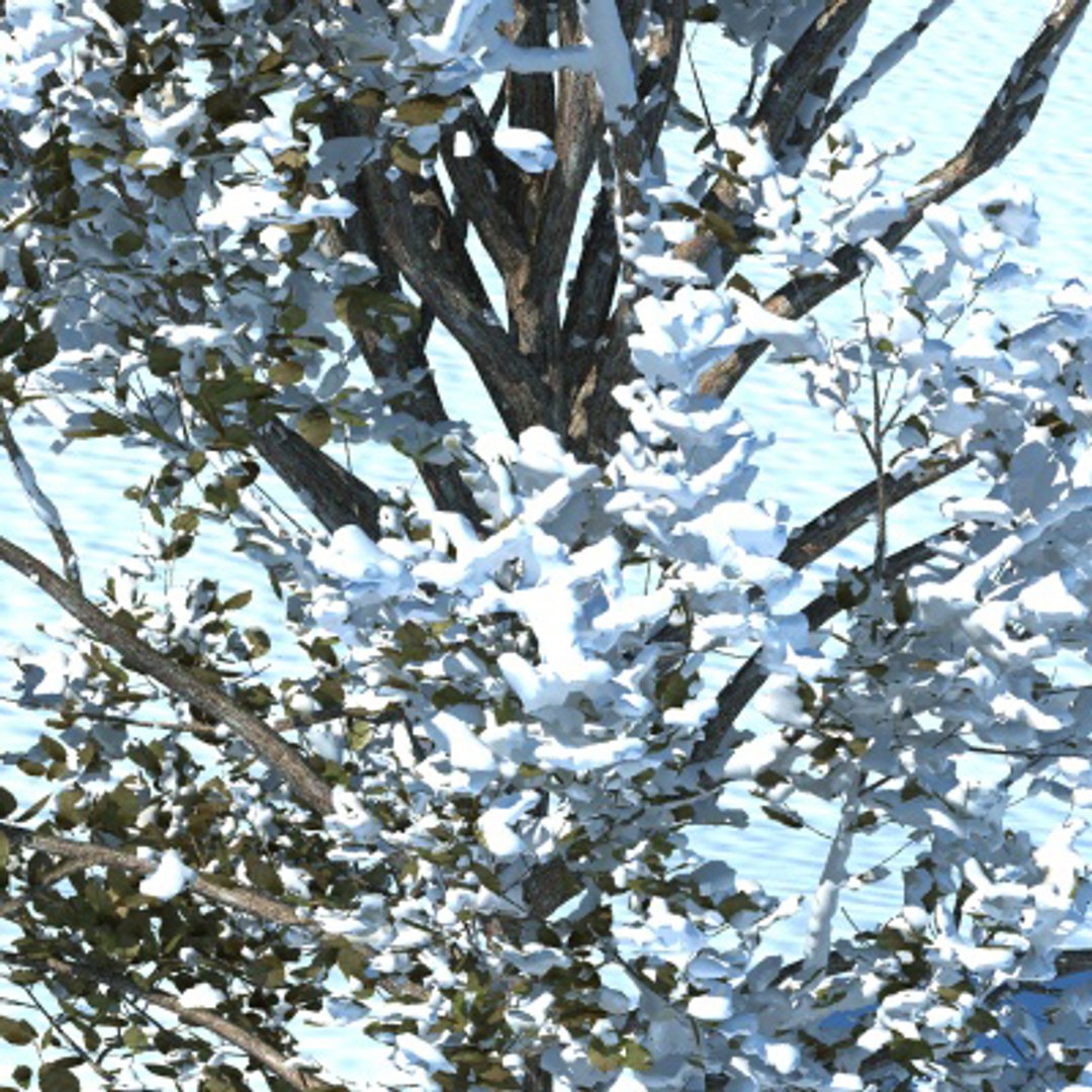 3d Model Snow Tree