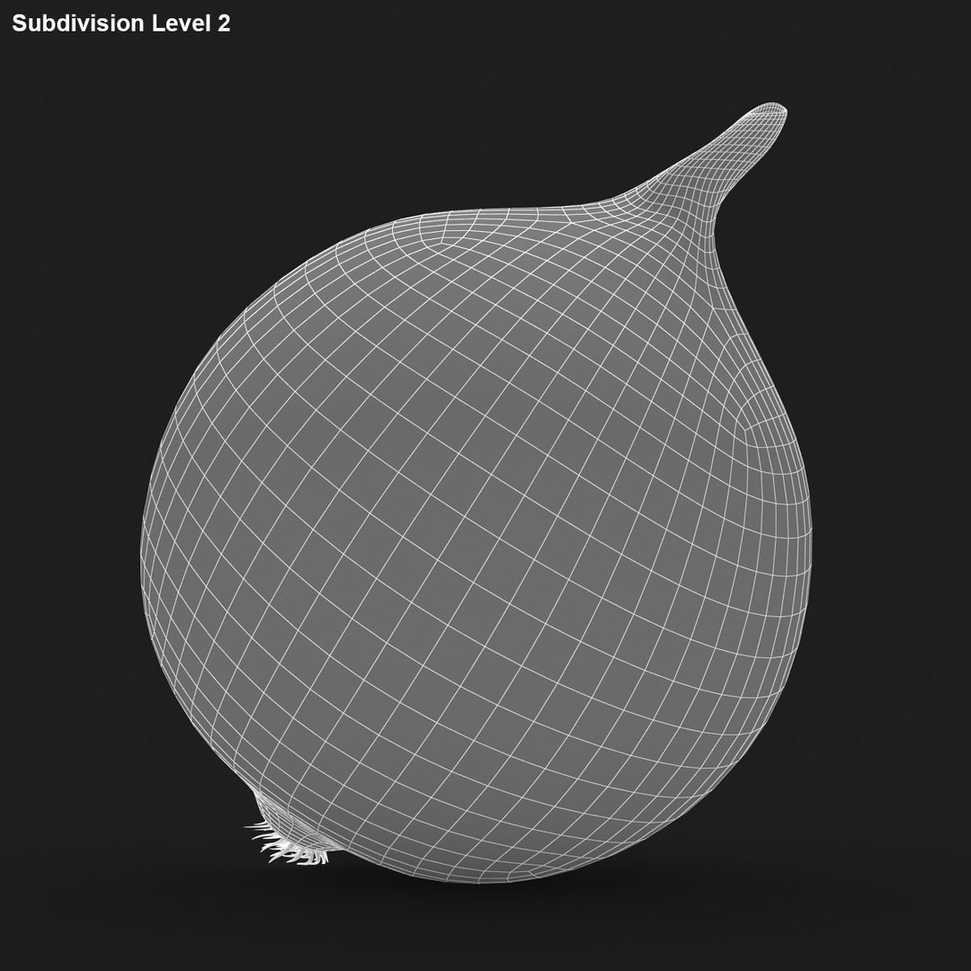 3d Model Onion Used