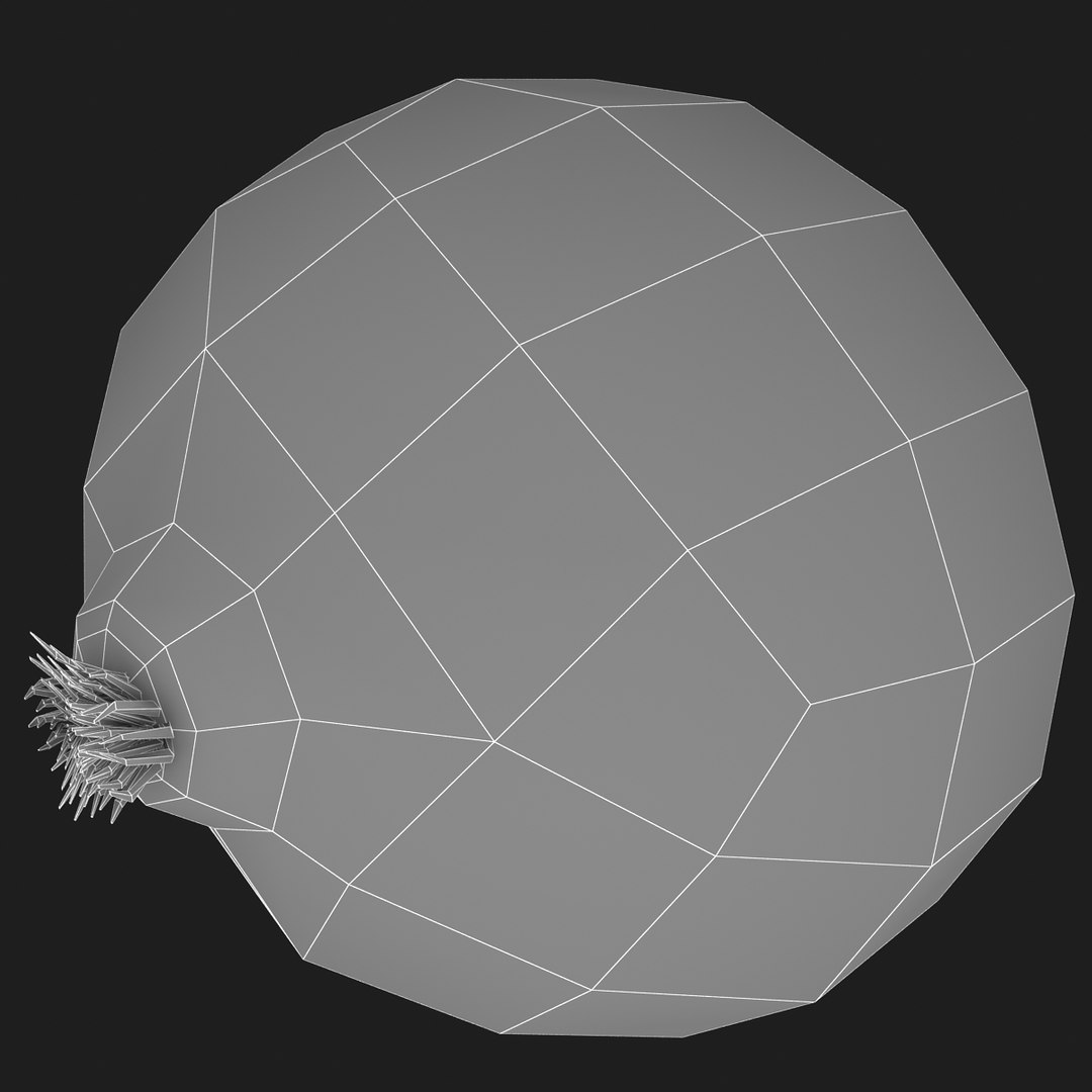3d Model Onion Used