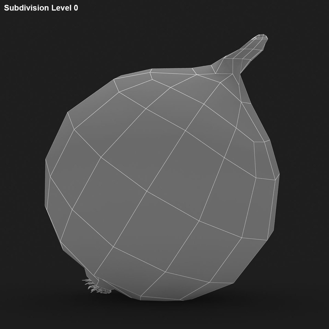 3d Model Onion Used