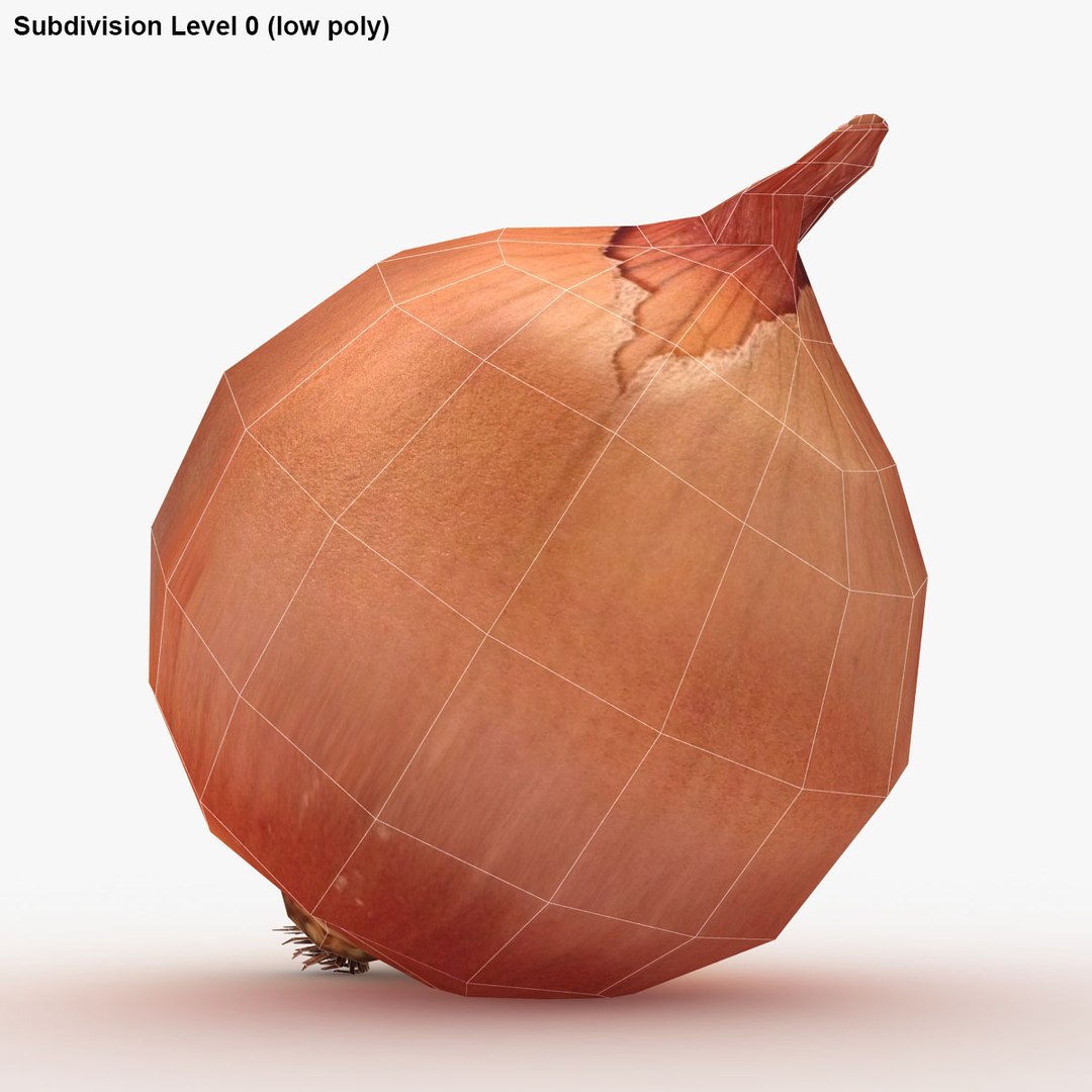 3d Model Onion Used