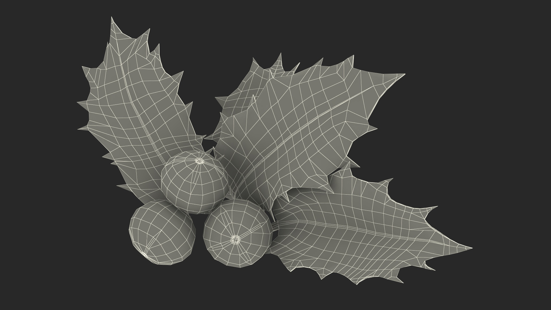 3D Isolated Holly Berry With Leaves - TurboSquid 2075461