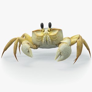 Rigged Crab 3D Models For Download | TurboSquid