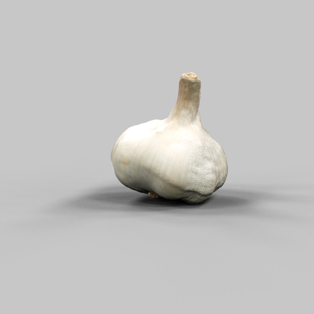 3d garlic food model