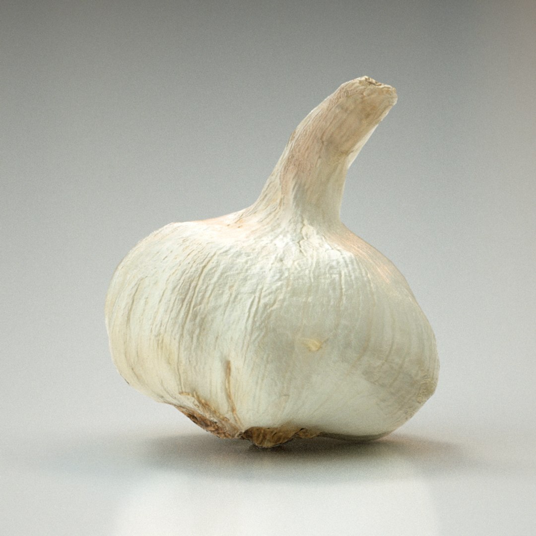 3d garlic food model