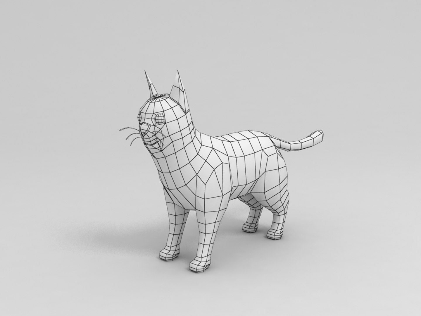 Cat Model - TurboSquid 1213496