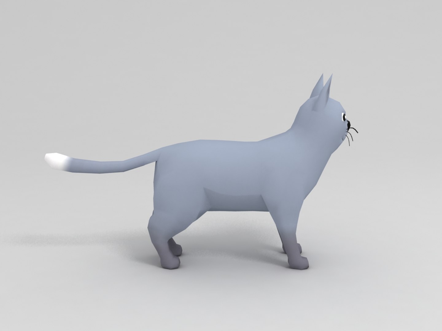 Cat Model - TurboSquid 1213496