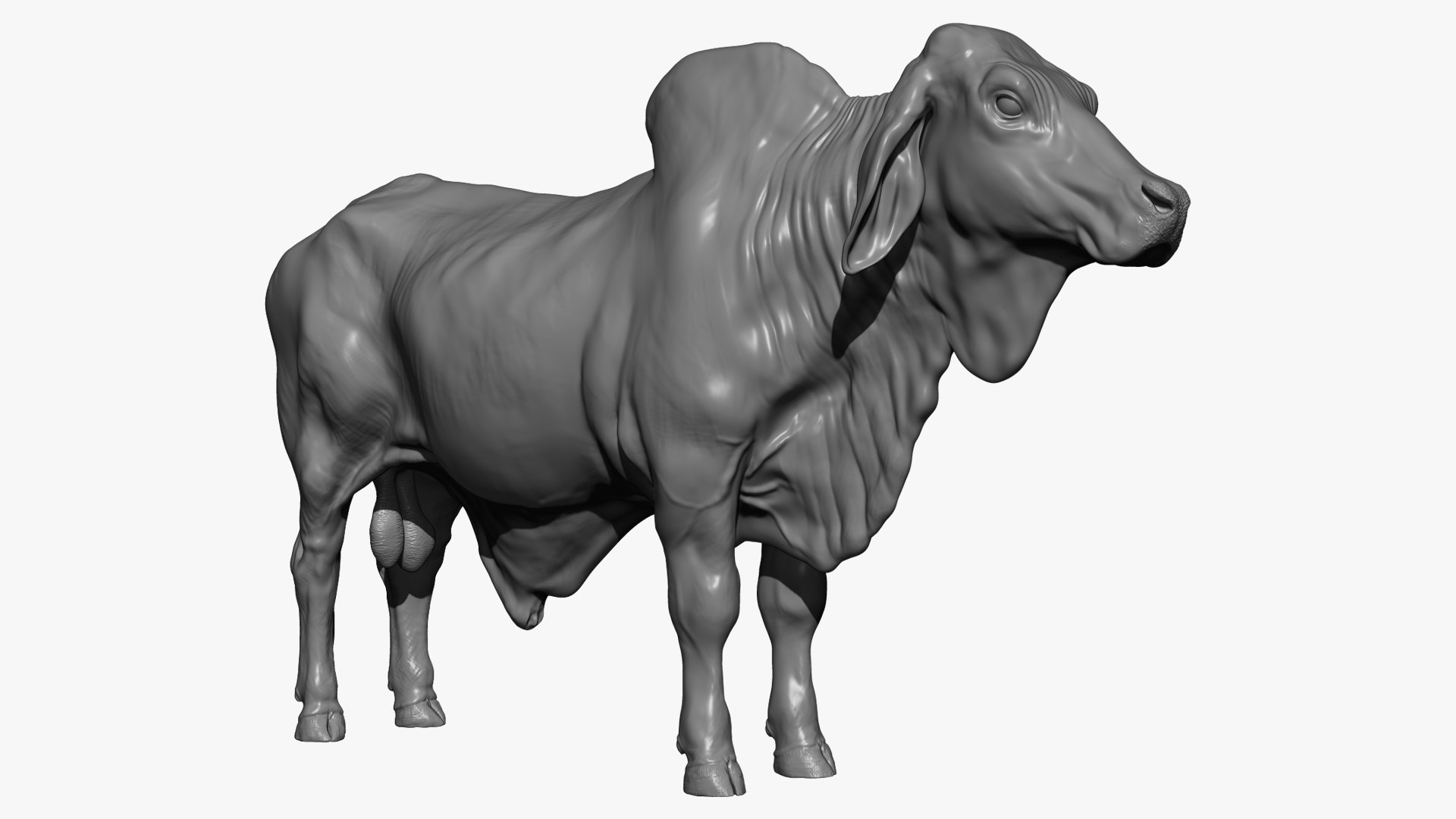 3D Indian Bull - TurboSquid 1702424