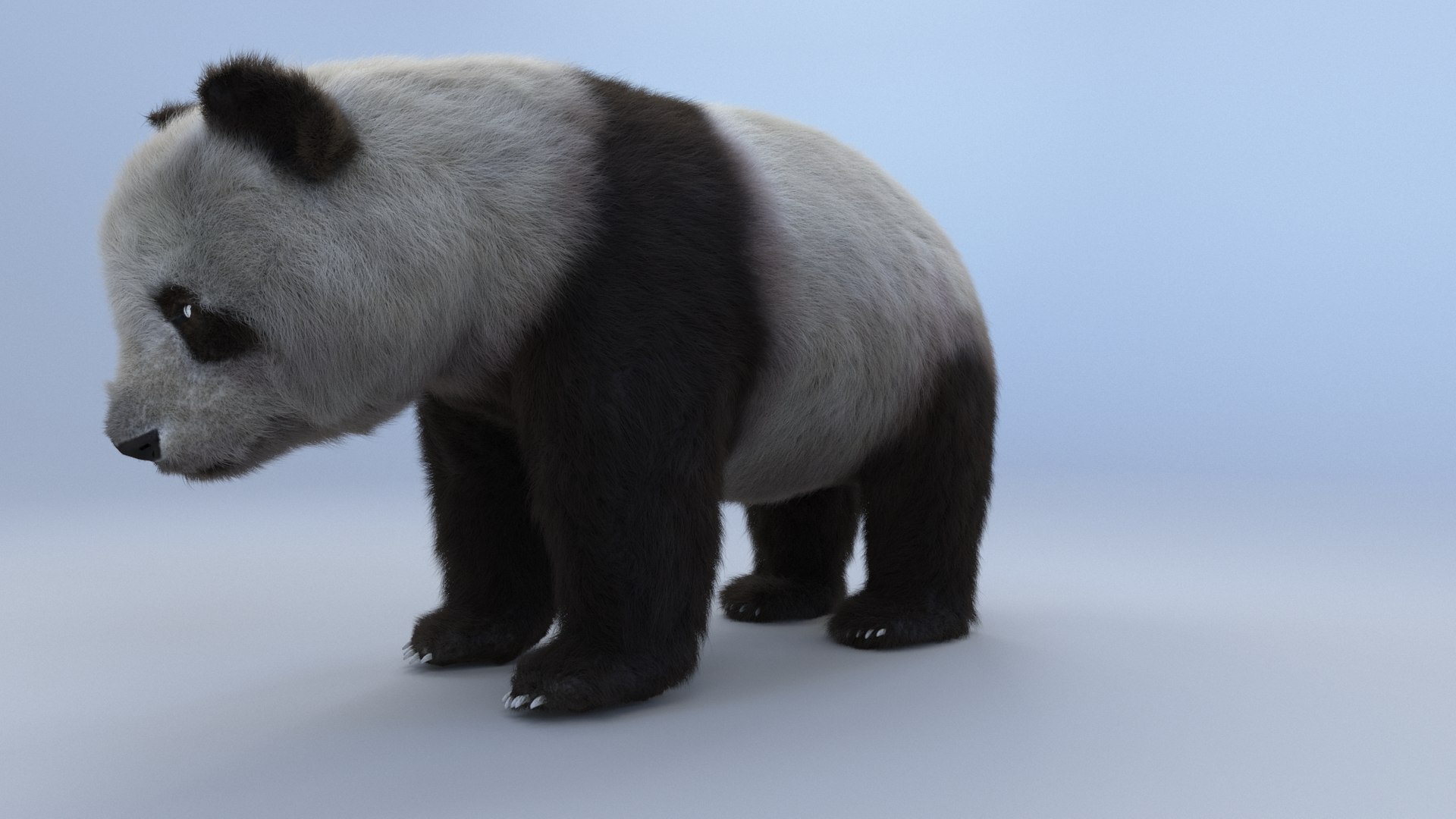 Rigged Panda Bear Fur Model - TurboSquid 1343608