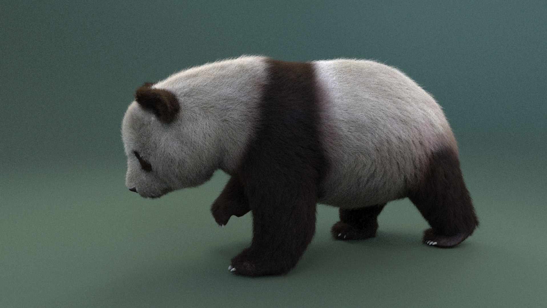 Rigged Panda Bear Fur Model - TurboSquid 1343608